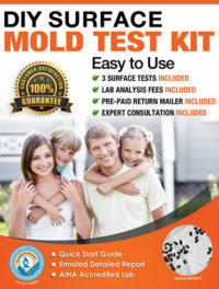 mold kits - PRO-LAB®