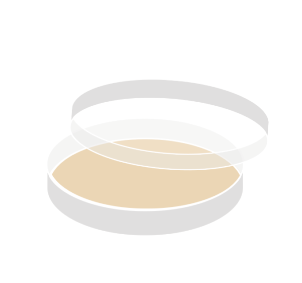 Mold Test Kit Instructions - PRO-LAB®